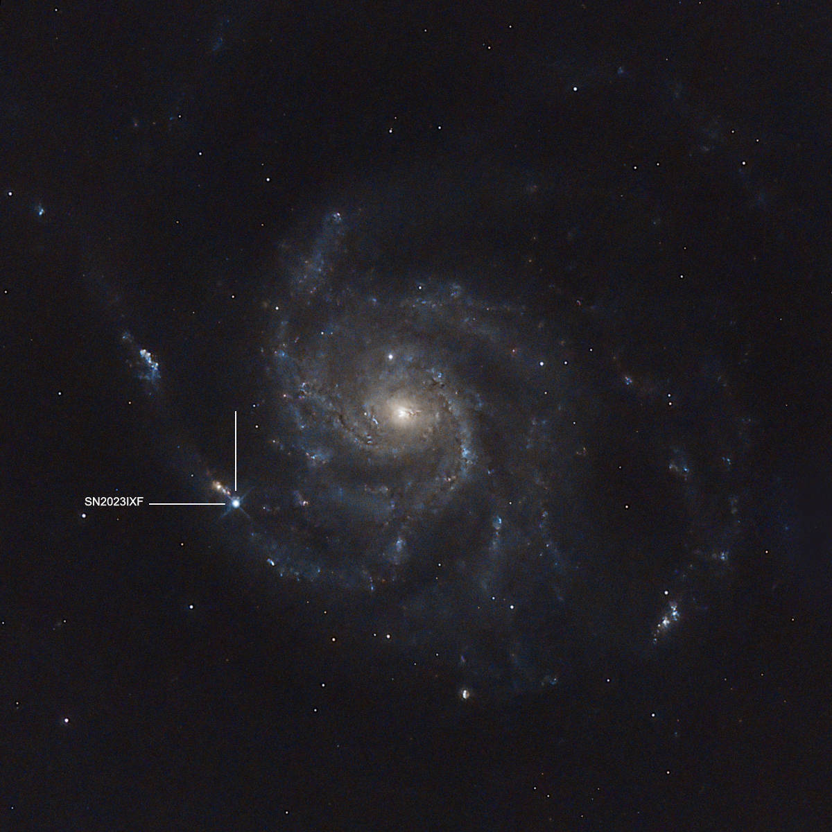 Supernova SN2023IXF - Coventry and Warwickshire Astronomical Society